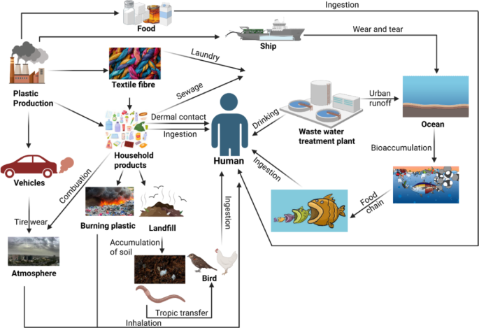Advances in microplastic mitigation: current progress and future ...