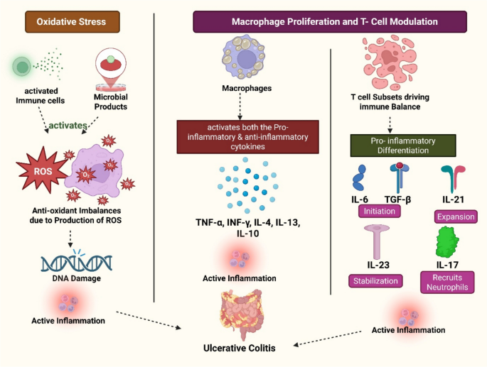 Exploring the microbial basis of postbiotic and paraprobiotic therapy ...
