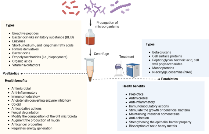 Postbiotics in the food industry: applications, delivery systems, and ...