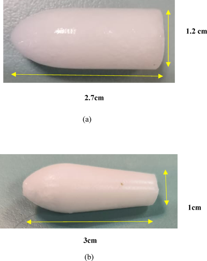 Assessment of essential probiotic properties of lyophilized ...