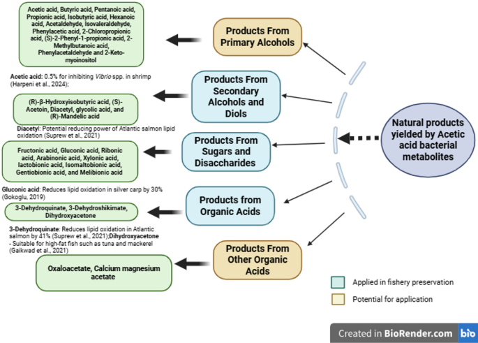 Comprehensive review on acetic acid bacterial metabolites ...