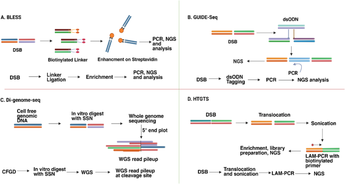 Assessing off-target effects in CRISPR/Cas9: challenges and strategies ...