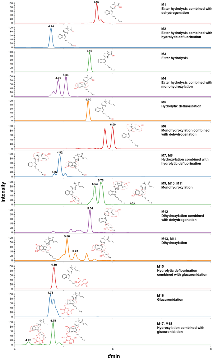Identification of phase-I and phase-II metabolites and the metabolic ...