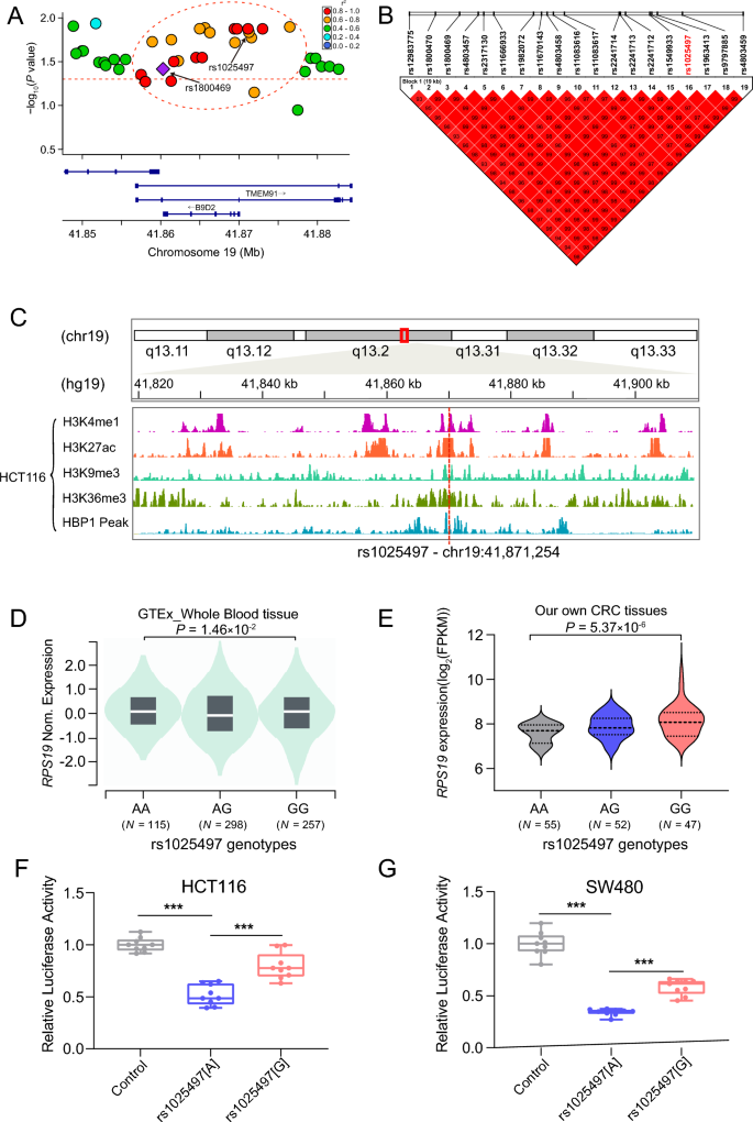 Integrated systematic functional screen and fine-mapping decipher the ...