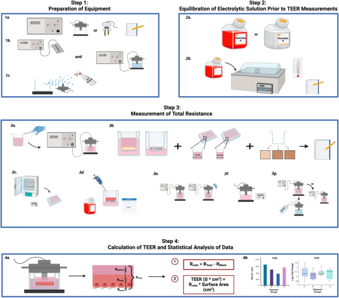 Minimum information for reporting on the TEER (trans-epithelial ...