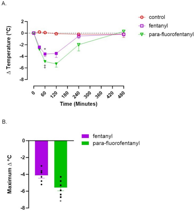 In vivo pharmacokinetic, pharmacodynamic and brain concentration ...