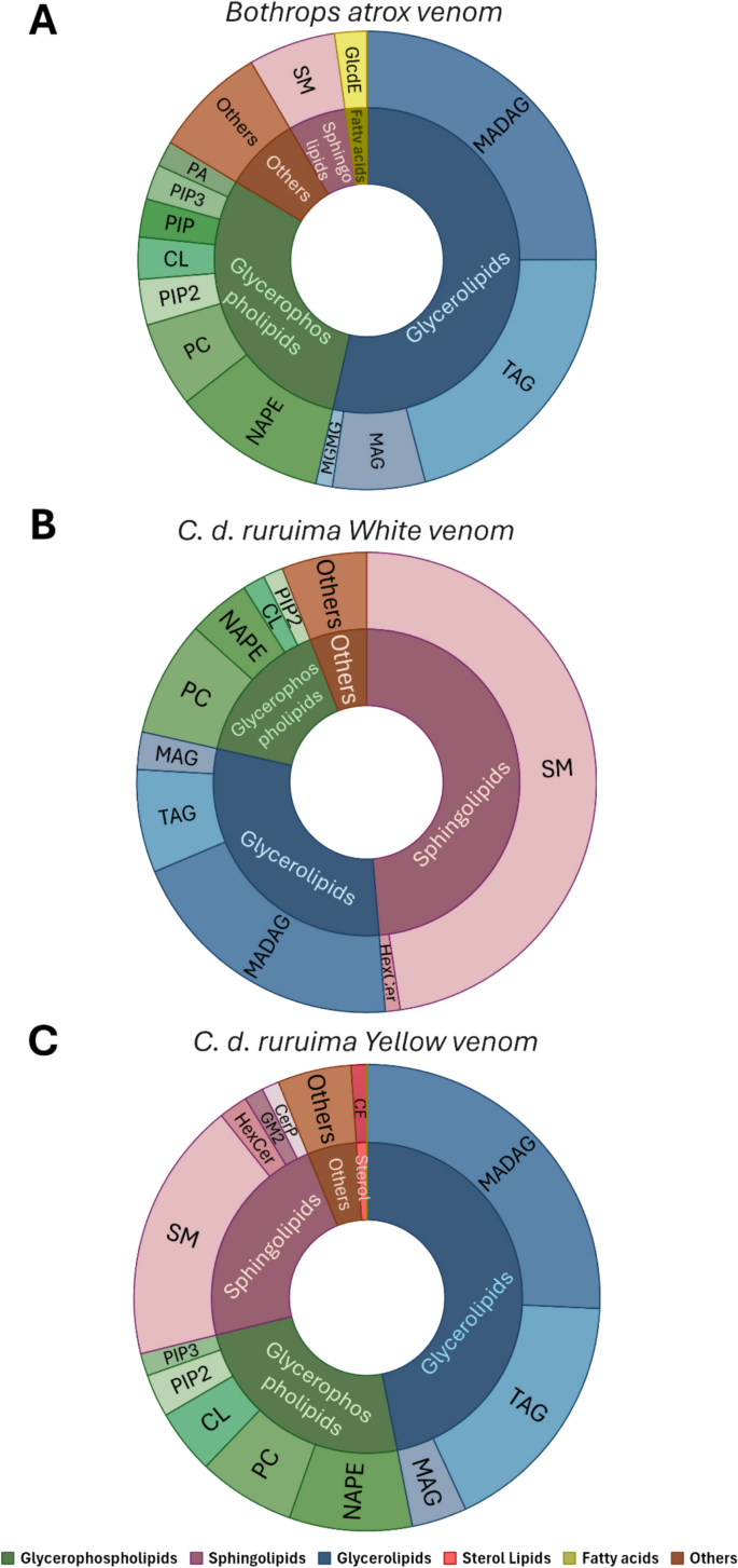 Lipidomics of Bothrops atrox and Crotalus durissus ruruima venoms, the ...