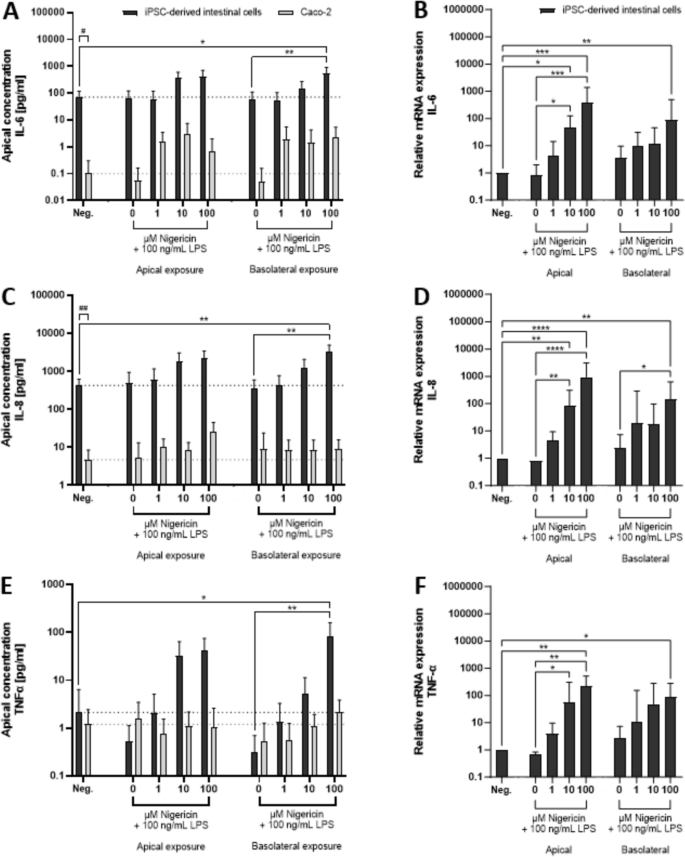 Pro-inflammatory response of human iPSC-derived intestinal epithelial ...