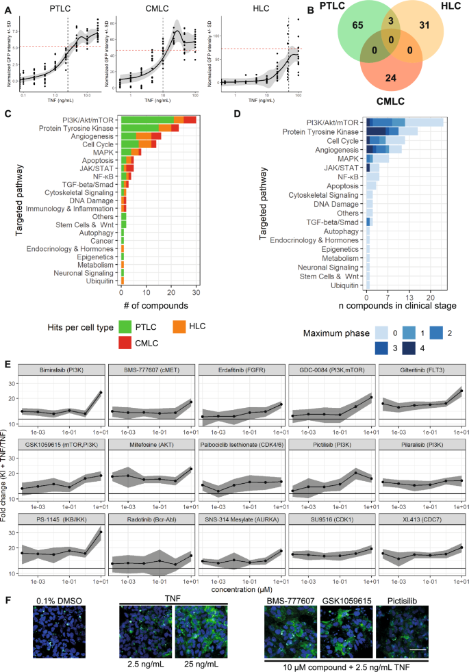A broad kinase inhibitor library live cell imaging screen using liver ...