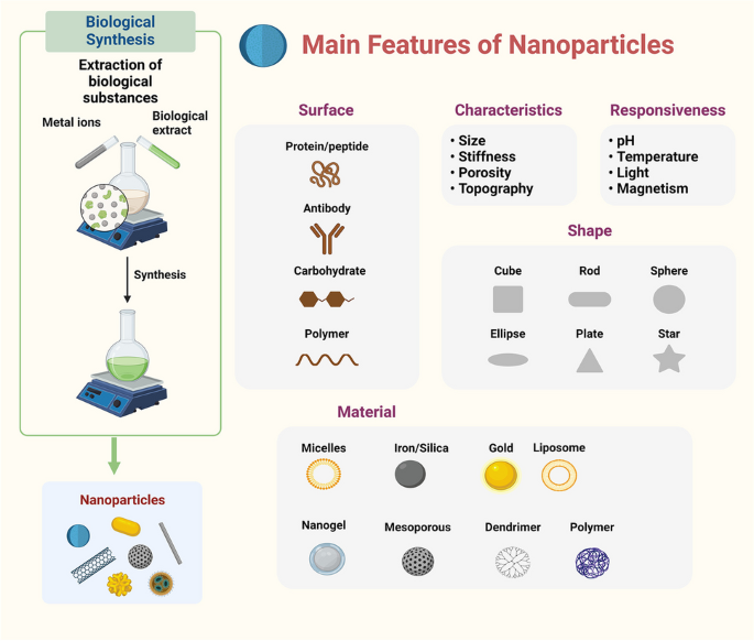 Biogenic metallic nanoparticles: from green synthesis to clinical ...