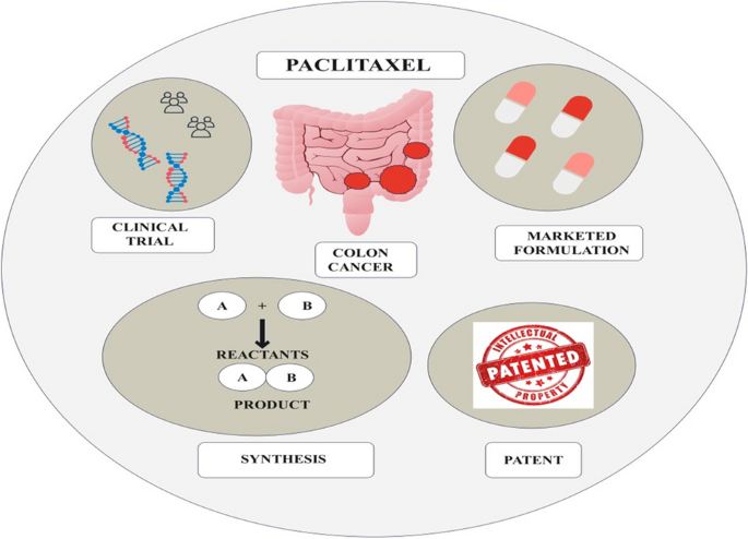 Paclitaxel in colon cancer management: from conventional chemotherapy to advanced nanocarrier ...