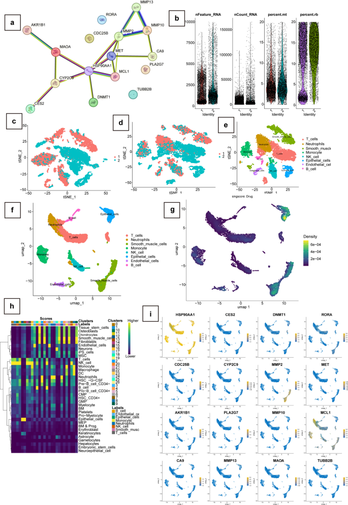 Unveiling esophageal cancer treatment mechanisms: network pharmacology ...