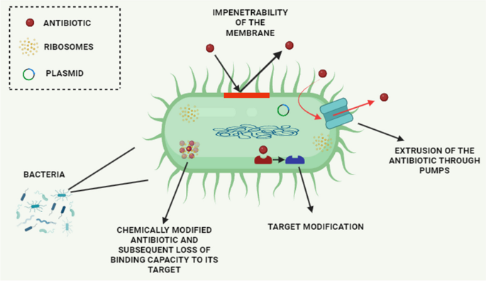 The challenge of antimicrobial resistance (AMR): current status and ...