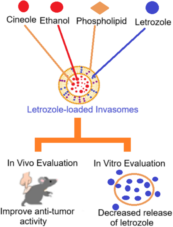 Improving the efficacy and targeting of letrozole for the control of ...
