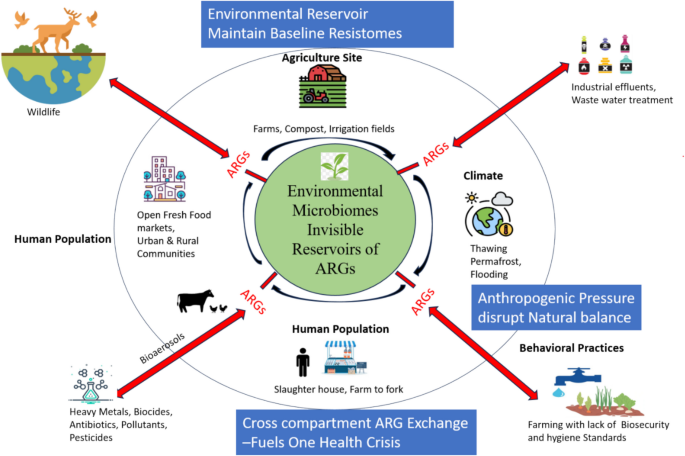 Environmental resistomes and antimicrobial resistance: integrating the ...