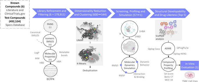 Integrated computational-experimental pipeline for CHK1 inhibitor discovery: structure-based ...