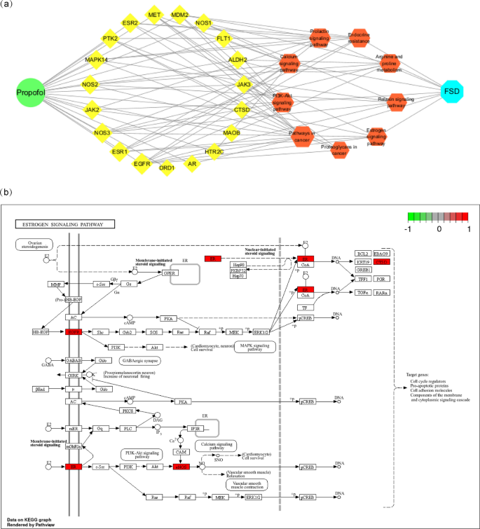 Integration of epidemiological surveys, network pharmacology, and ...
