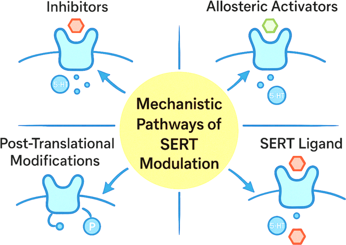 The quercetin-serotonin transporter (SERT) connection: a new hope for ...
