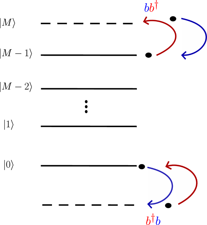Quantum computing within a bosonic context: assessing finite basis ...