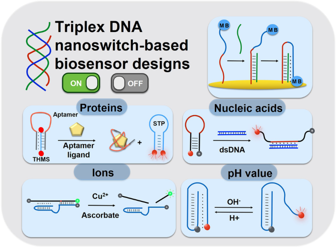Applications of triplex DNA nanostructures in sensor development ...