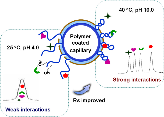 In situ growth of dual-responsive polymer as coating for open tubular ...