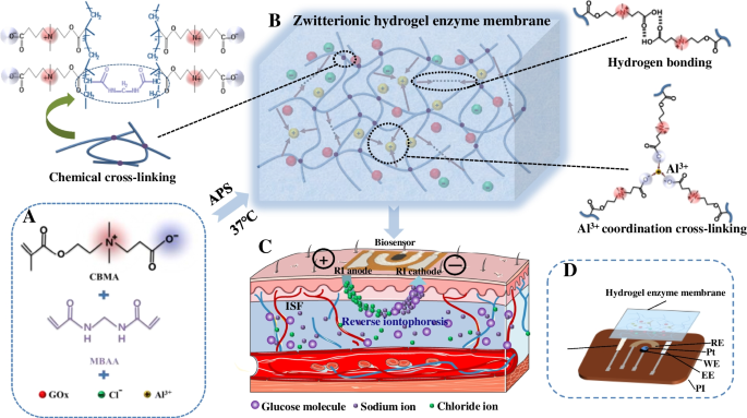 A flexible glucose biosensor modified by reduced-swelling and ...