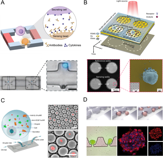 Integration of secreted signaling molecule sensing on cell monitoring ...