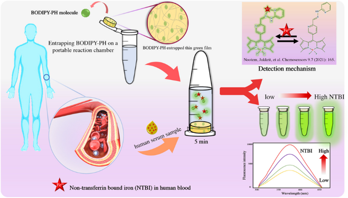 Quantifying non-transferrin-bound iron (NTBI) in human plasma ...