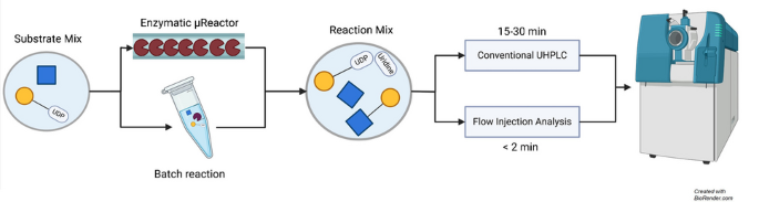 Efficient derivatization-free monitoring of glycosyltransferase ...
