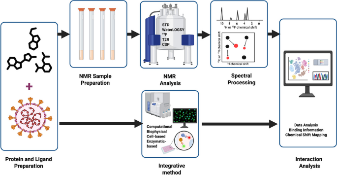 How does NMR support SARS-CoV-2 protein–ligand interaction studies ...