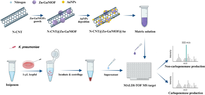 Bimetallic nanotubes enhanced MALDI-TOF MS for rapid detection of ...