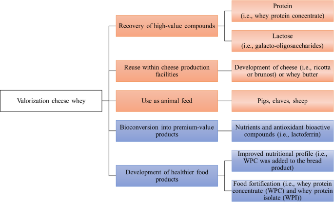 A review of various protein separation techniques and valorization of ...