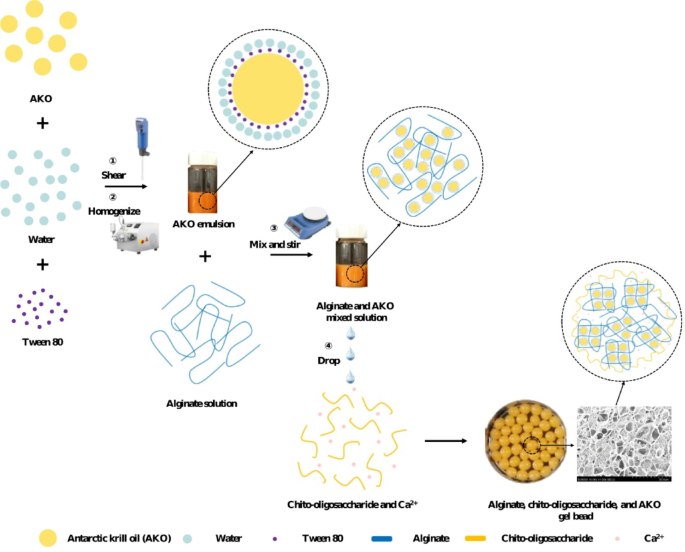 Interactions between alginate in emulsion, chito-oligosaccharide, and ...