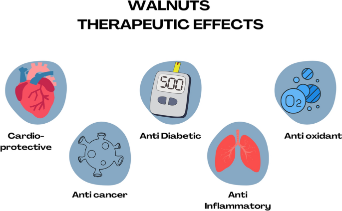 Nutritional composition, phytochemical profile, health benefits and ...
