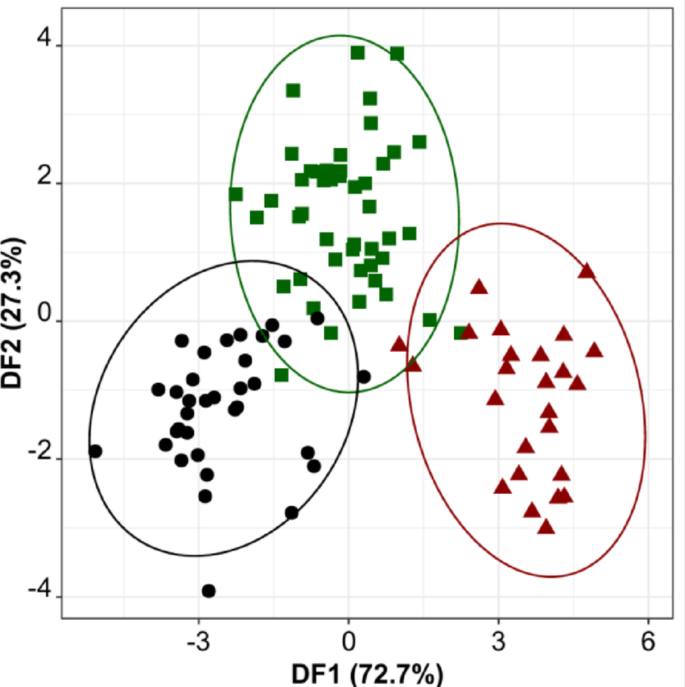 Impact of olive grove altitude on the chemical and sensory ...