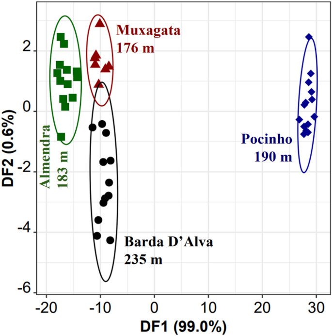 Impact of olive grove altitude on the chemical and sensory ...