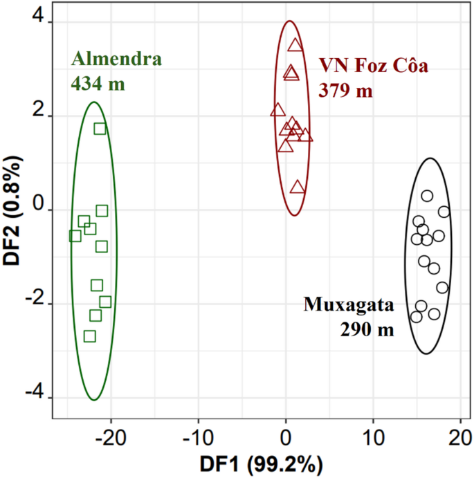 Impact of olive grove altitude on the chemical and sensory ...