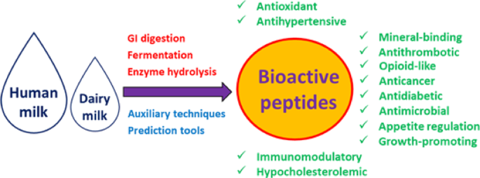 Milk-derived bioactive peptides: multifunctional agents in infant ...