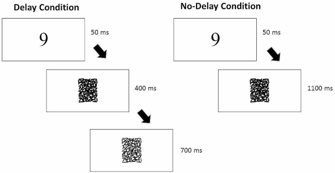 Perceptual decoupling in the sustained attention to response task is ...
