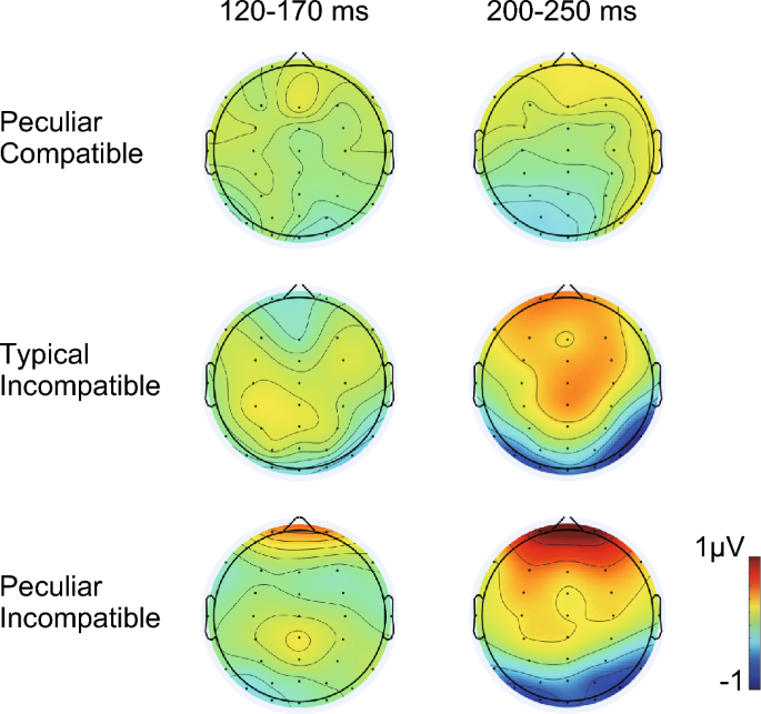 Rare incompatible stimuli evoke visual mismatch negativity in a flanker ...