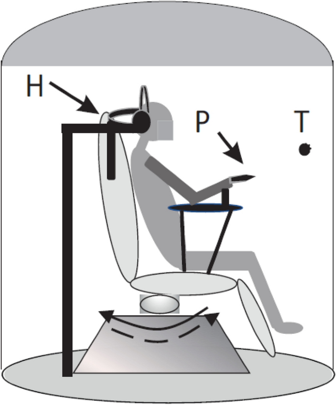 Neck muscle fatigue disrupts self-motion perception | Experimental ...