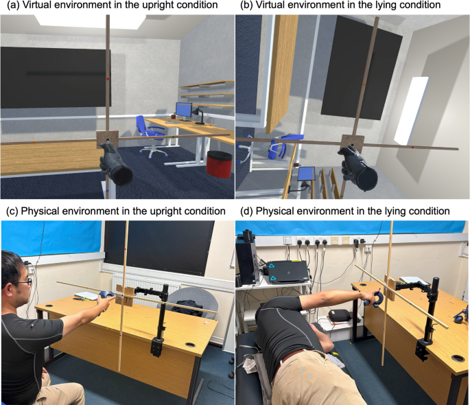 A comparison of pointing movement kinematics between virtual and ...