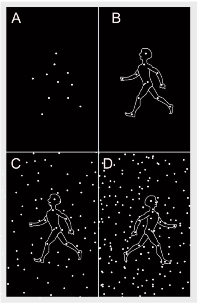 Perceptual interpretation of biological motion relates to autistic ...