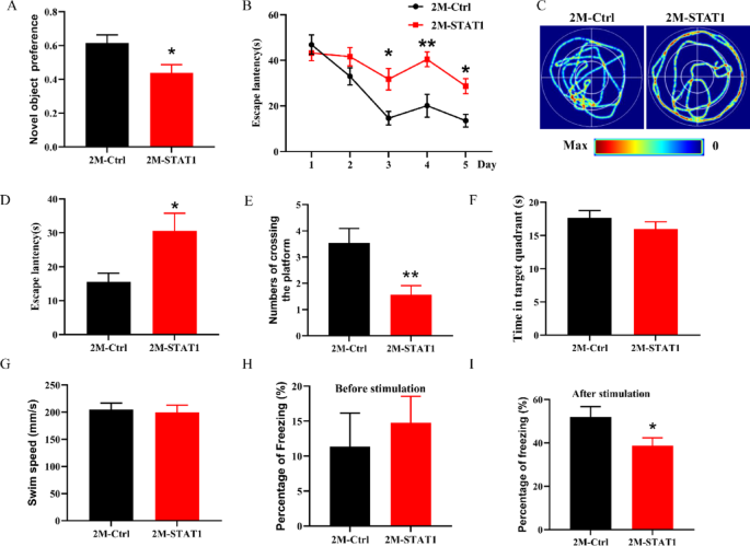 Proteomics revealed the underlying mechanism of STAT1-induced cognitive ...
