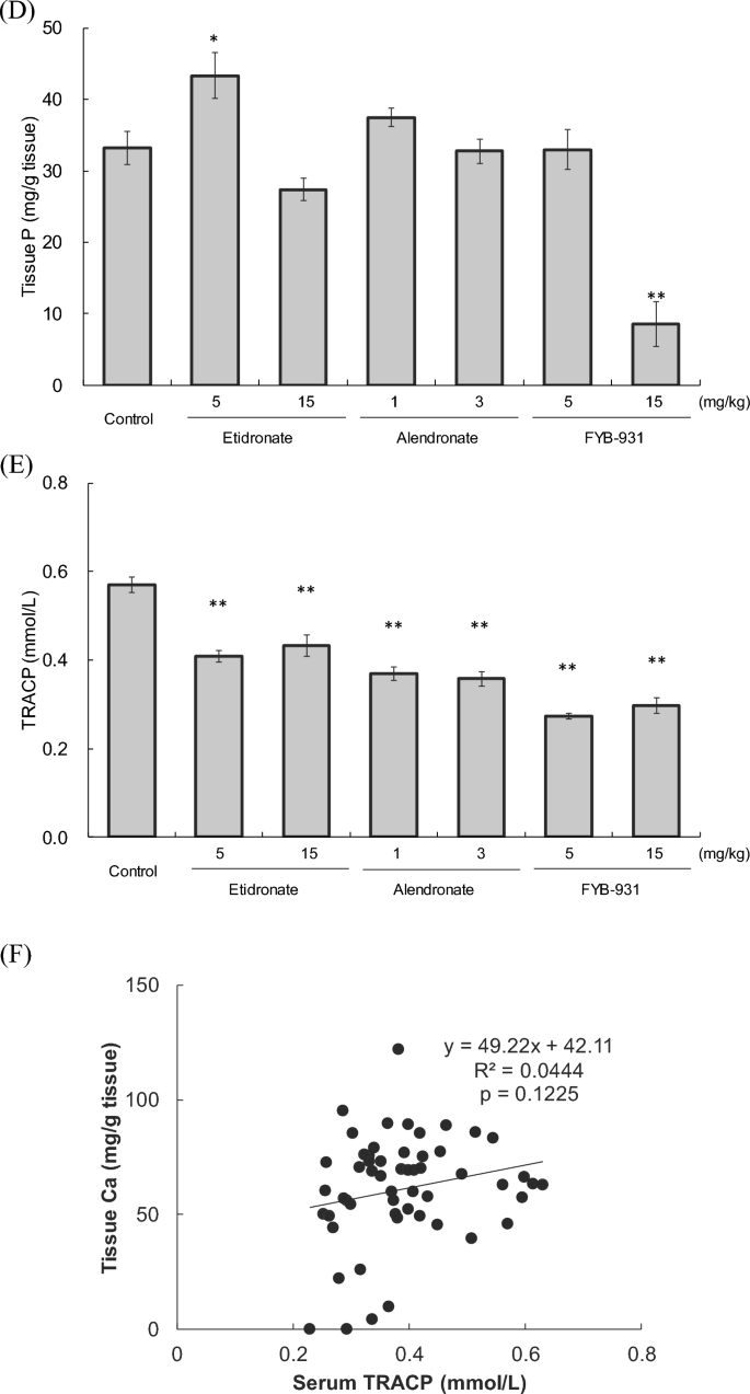 Lead Acetate-Injected Mice is an Animal Model for Extrapolation of ...