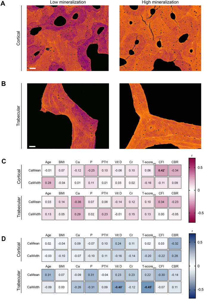Sex-Specific Association of Clinical Parameters and Components of ...