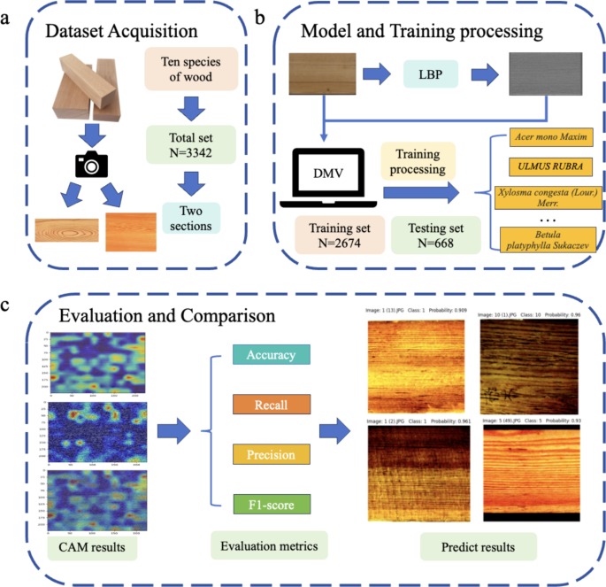 Prior knowledge-based DMV model for few-shot and multi-category wood ...