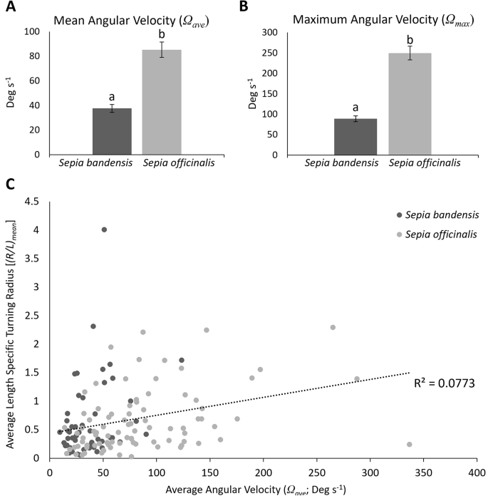 Baby’s first jets: a kinematic and hydrodynamic analysis of turning in ...