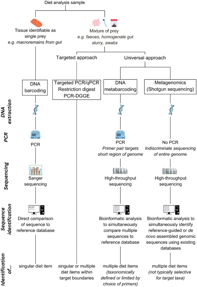 A review of dietary DNA metabarcoding in marine vertebrates: a new ...