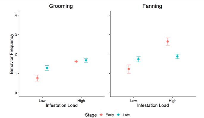Investigating active parental care in egg-bearing Caribbean spiny ...